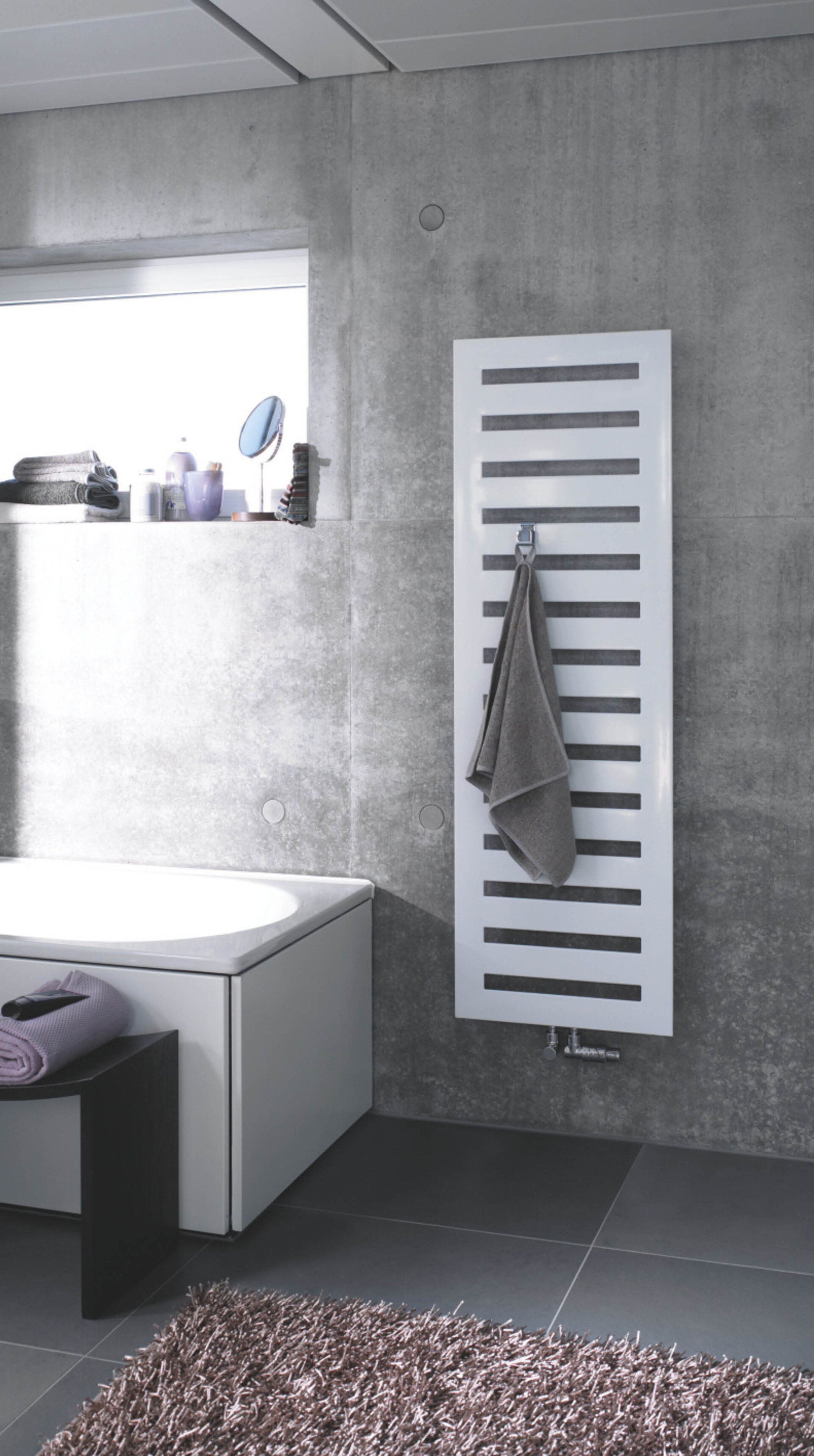 General | Zehnder Group Sales International